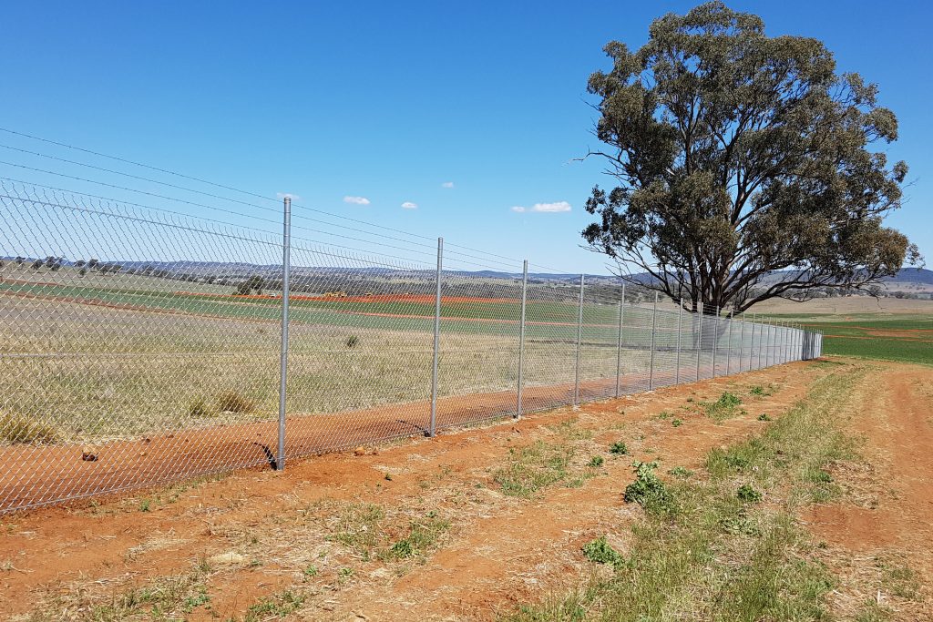 CHAINMESH - Sunset Fencing